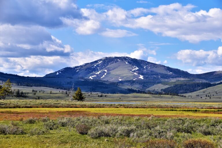 11 Best Places for Free Dispersed Camping in Montana