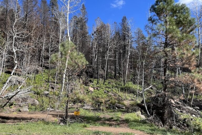 The Best Free Dispersed Campsites Near Flagstaff